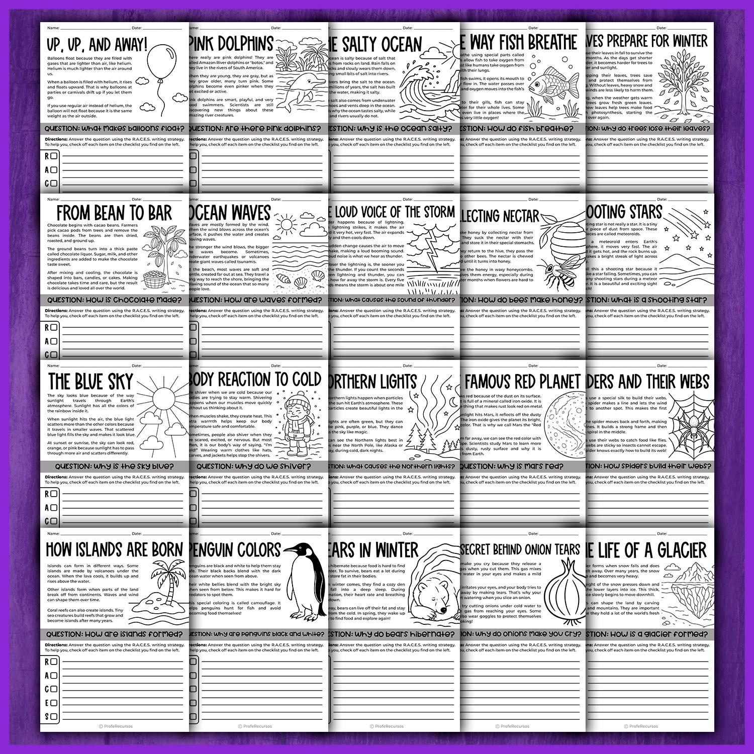 RACES Strategy Practice | Writing Activities | Text Evidence Reading ...