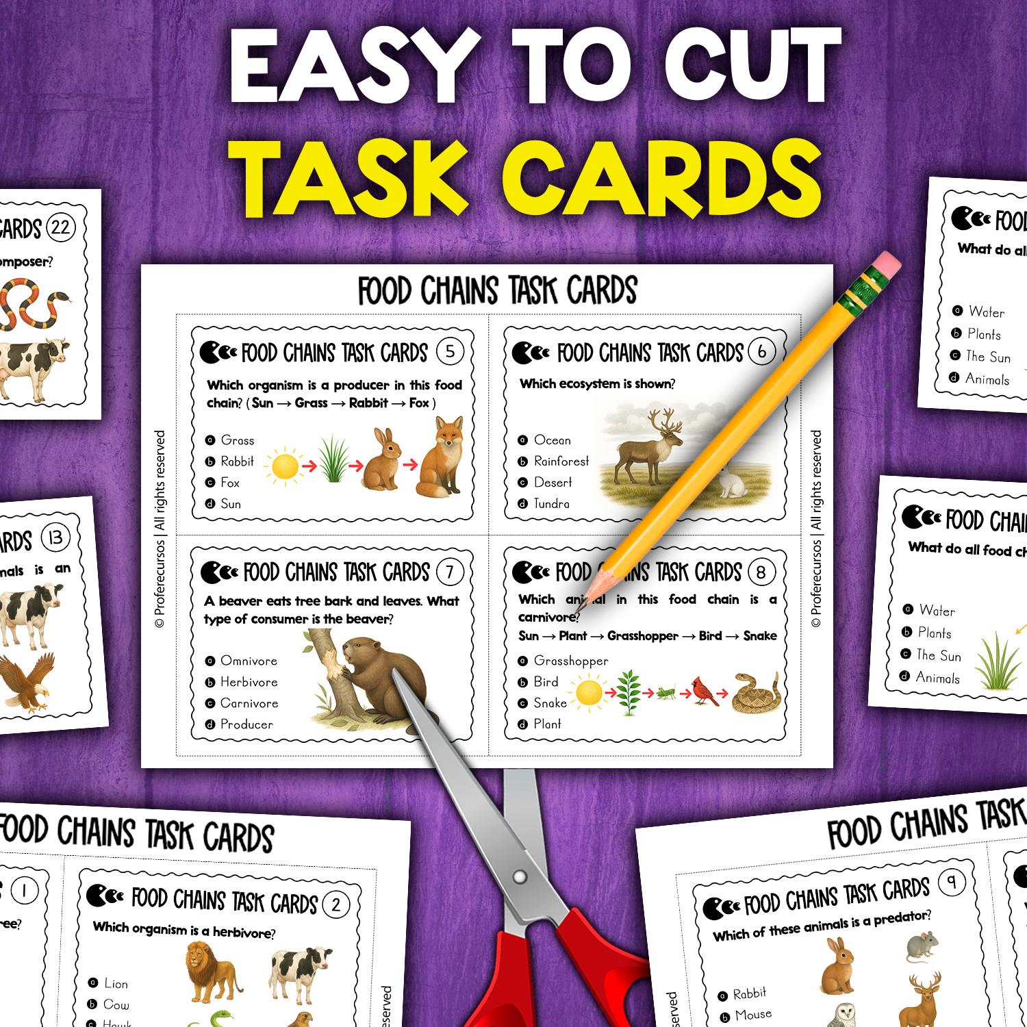 Food Chains Task Cards Activity | Ecosystems & Food Webs Activities - Etsy