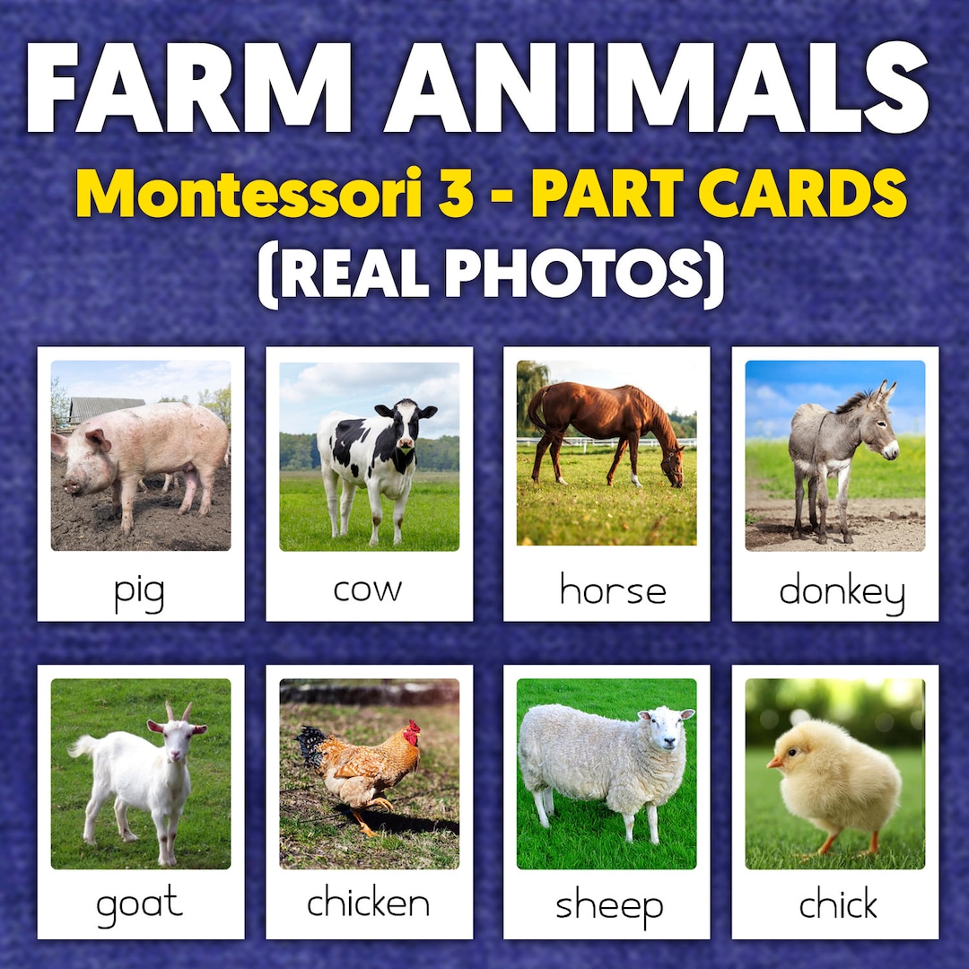 Farm Animals Montessori 3-part Cards (REAL IMAGES) | Farm Vocabulary ...
