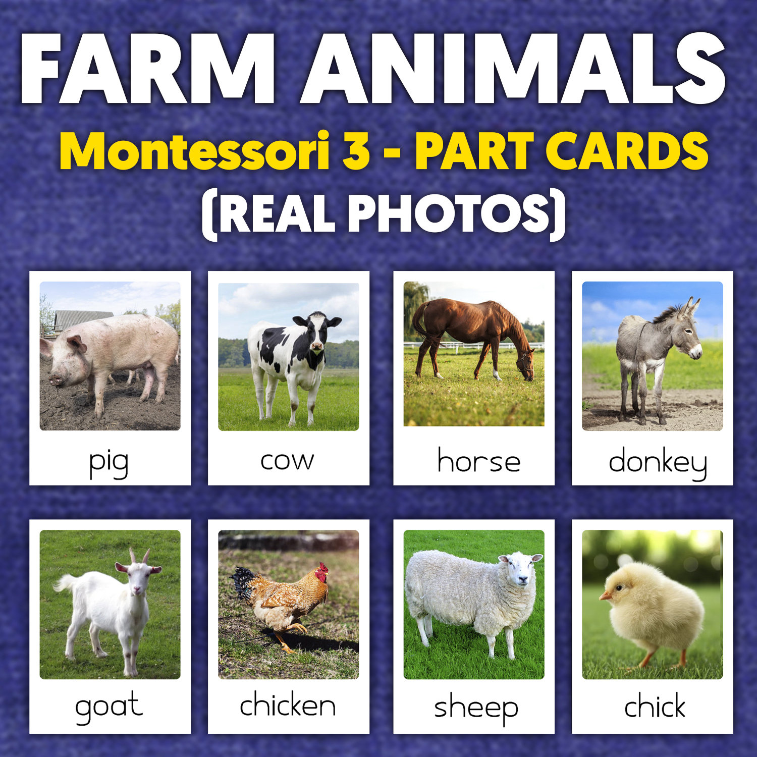 Farm Animals Montessori 3-part Cards (REAL IMAGES) | Farm Vocabulary ...