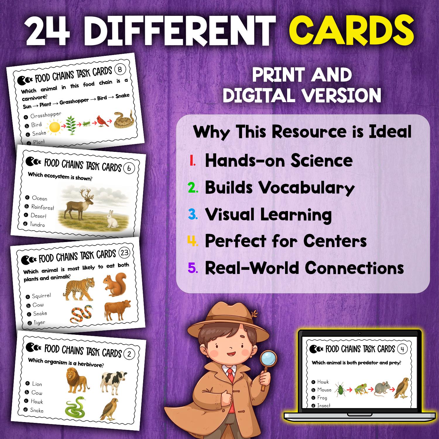 Food Chains Task Cards Activity | Ecosystems & Food Webs Activities - Etsy