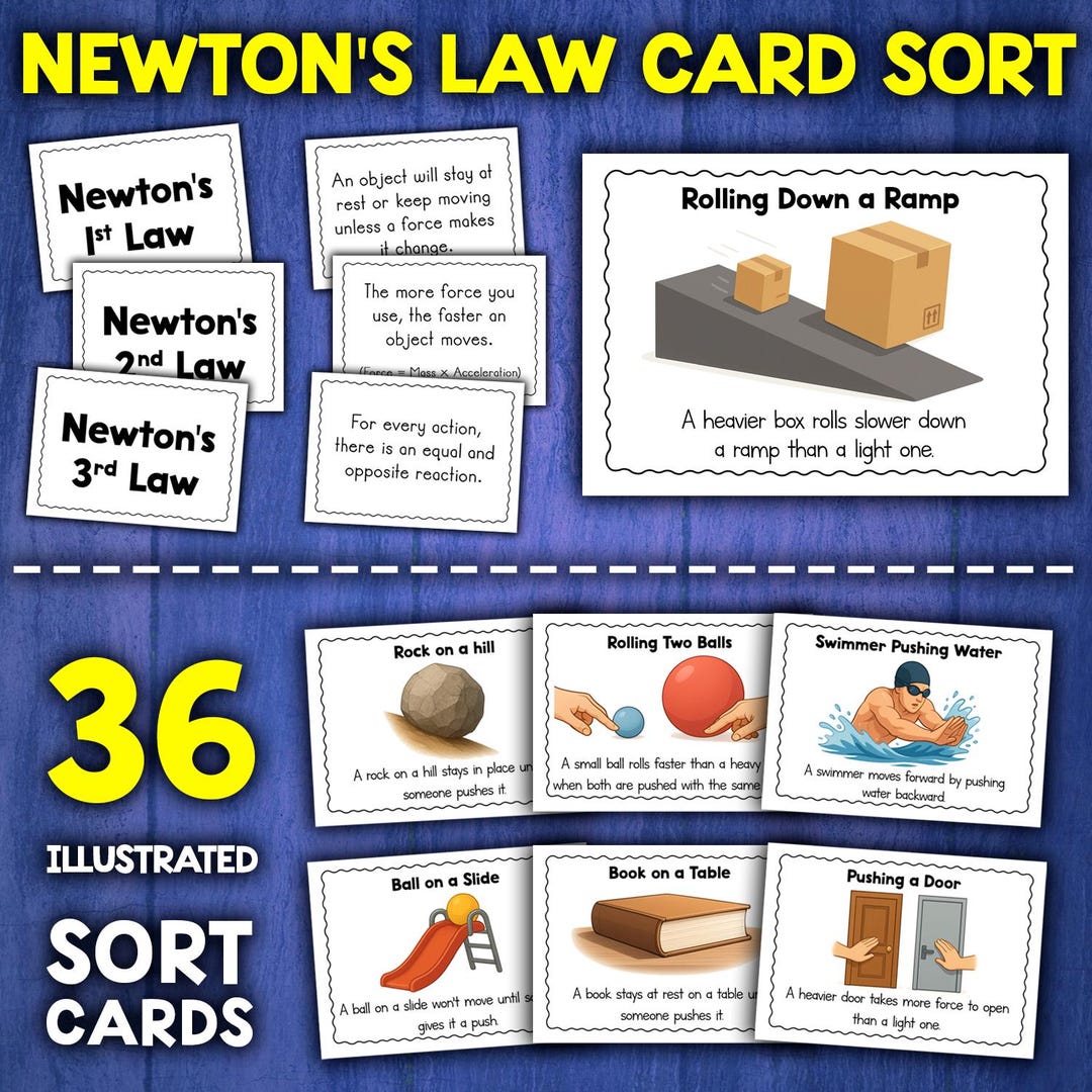 Newton's Laws of Motion Card Sort | Force and Motion Card Sort Activity ...