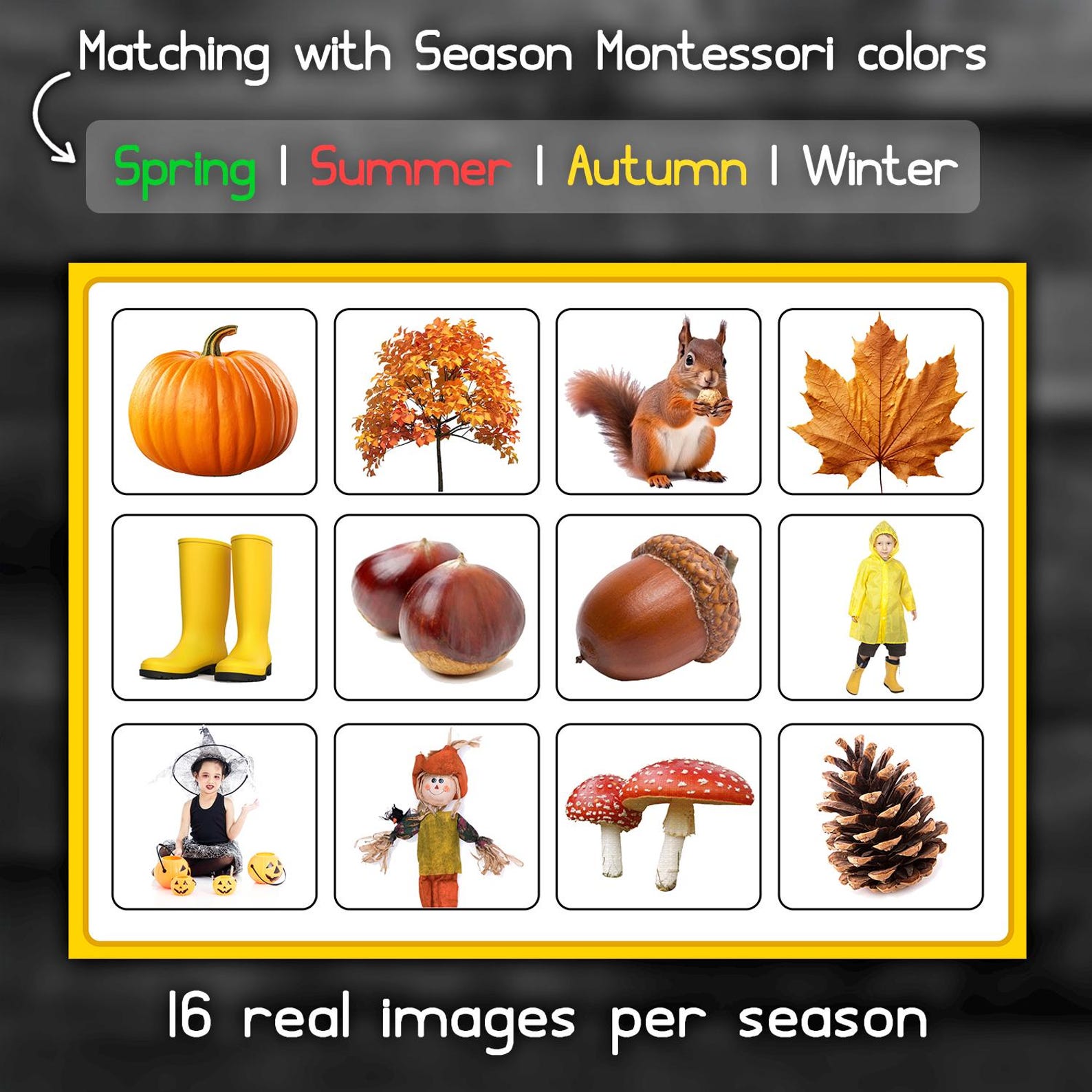 Four Seasons Montessori Sorting Activity | REAL IMAGES | Learning ...