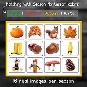 Four Seasons Montessori Sorting Activity | REAL IMAGES | Learning ...