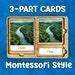 Types of Landforms Flashcards | Landforms Montessori 3-part Cards ...