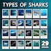 Types of Sharks Cards Types of Sharks Montessori Cards Montessori ...