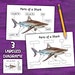 Parts of a Shark Parts Anatomy of a Shark Diagram Shark Labeled Shark ...
