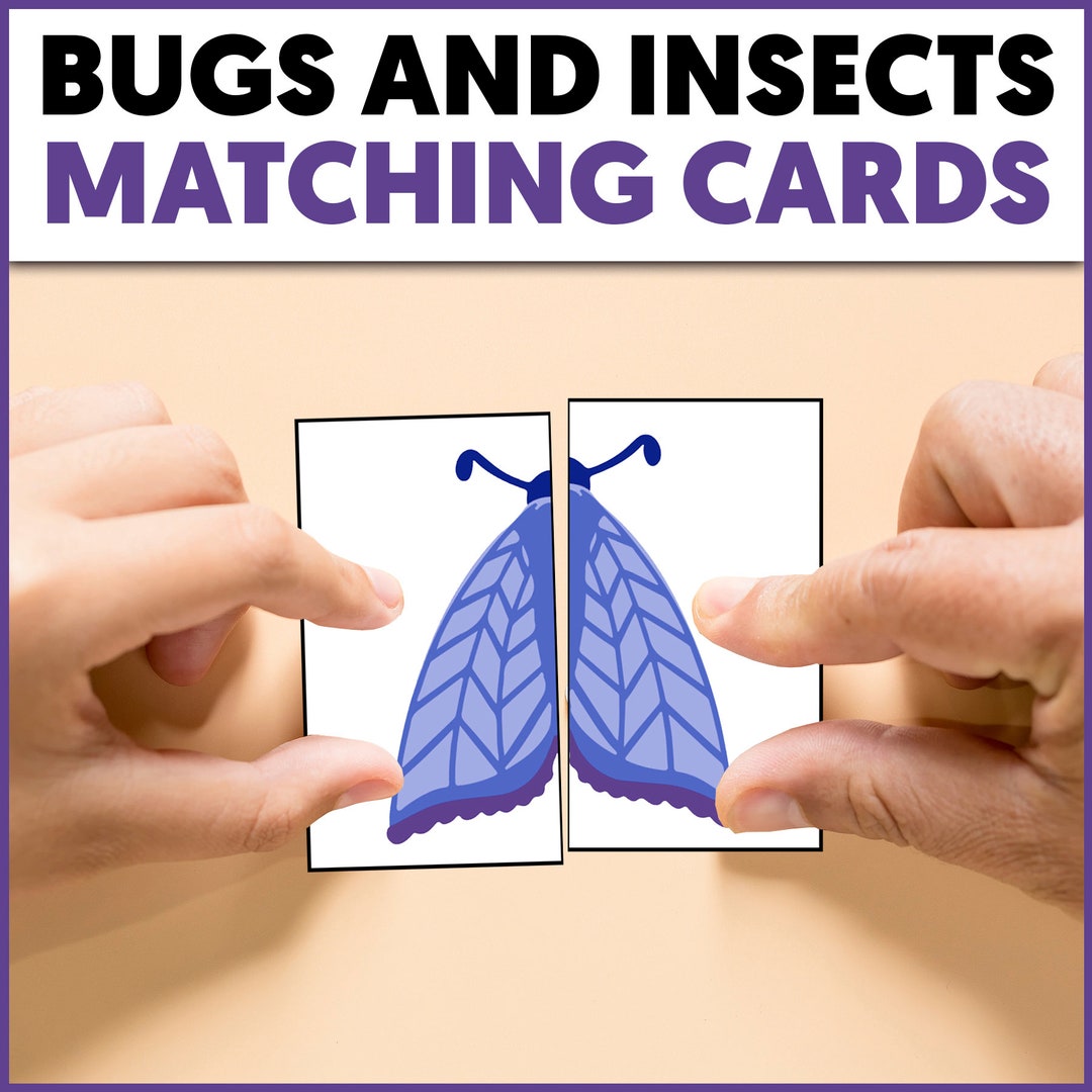 Color Matching Cards Insect and Bugs Matching Cards Memory Game Cards ...