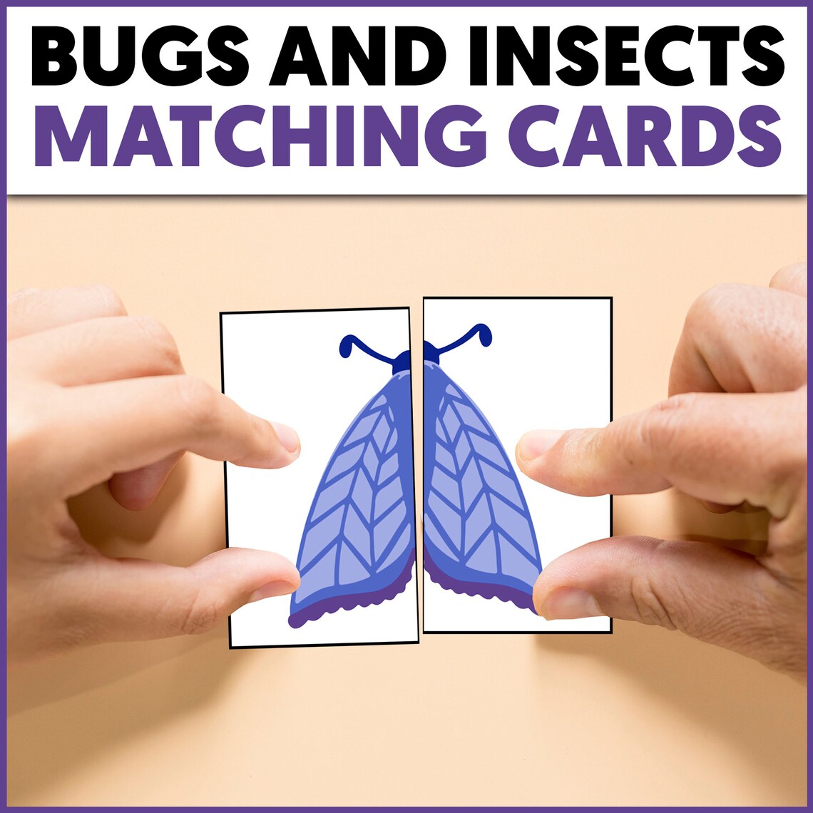 Color Matching Cards Insect and Bugs Matching Cards Memory Game Cards ...