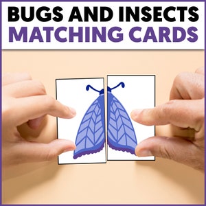 Color Matching Cards Insect and Bugs Matching Cards Memory Game Cards ...