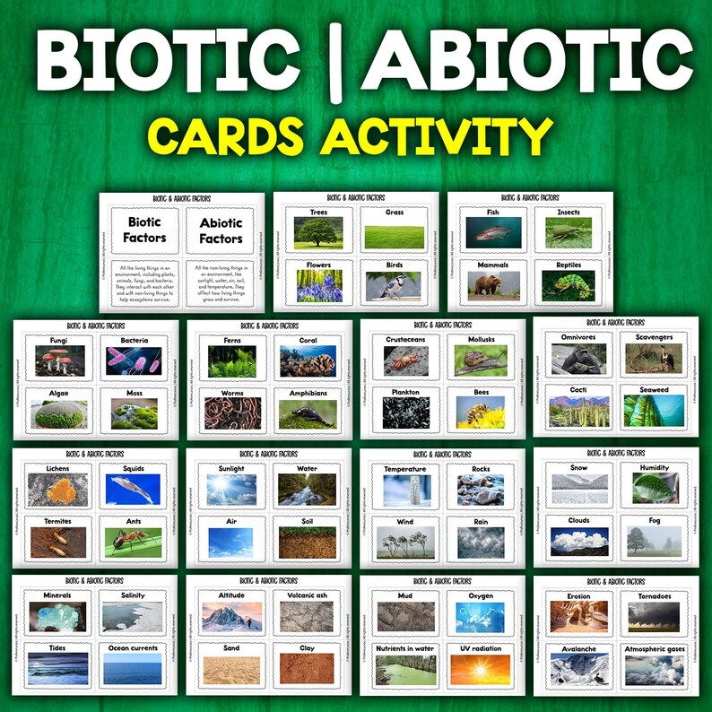 Biotic & Abiotic Factors Card Sort Activity | Components of Ecosystem ...