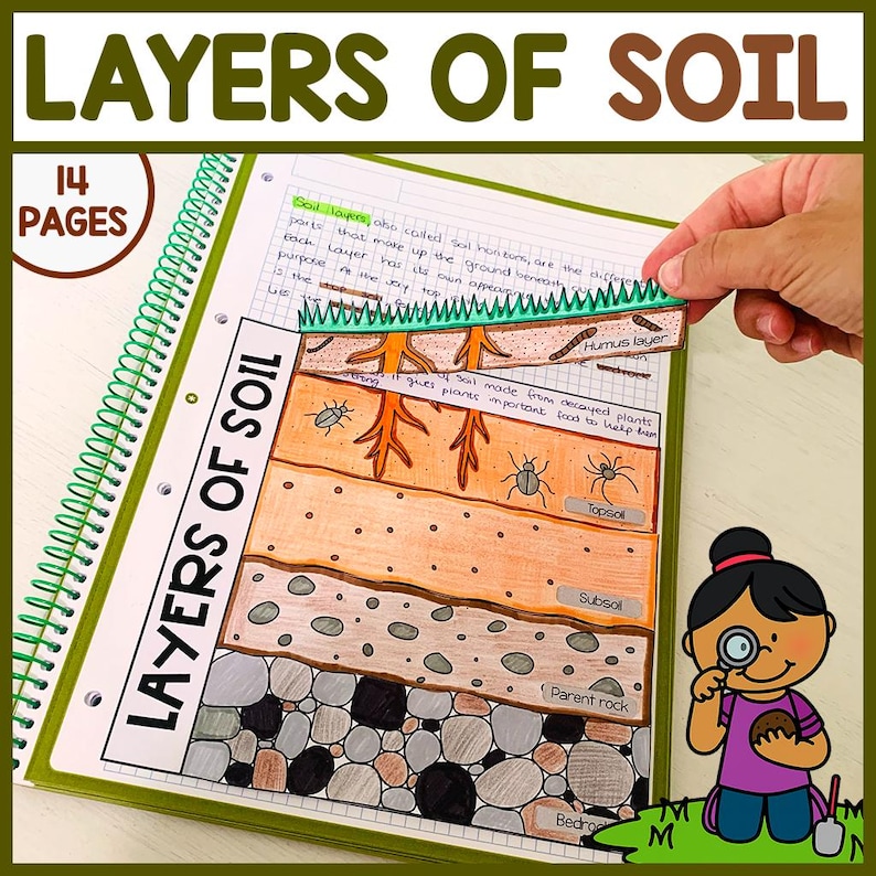 Soil Layers | Soil Horizons | Interactive Notebook Activities | Earth ...