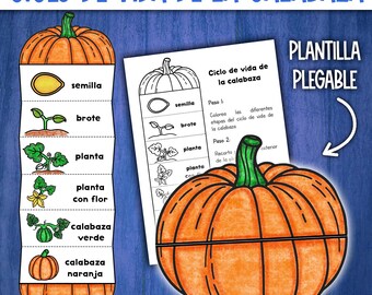Pumpkin Life Cycle Activity - Etsy