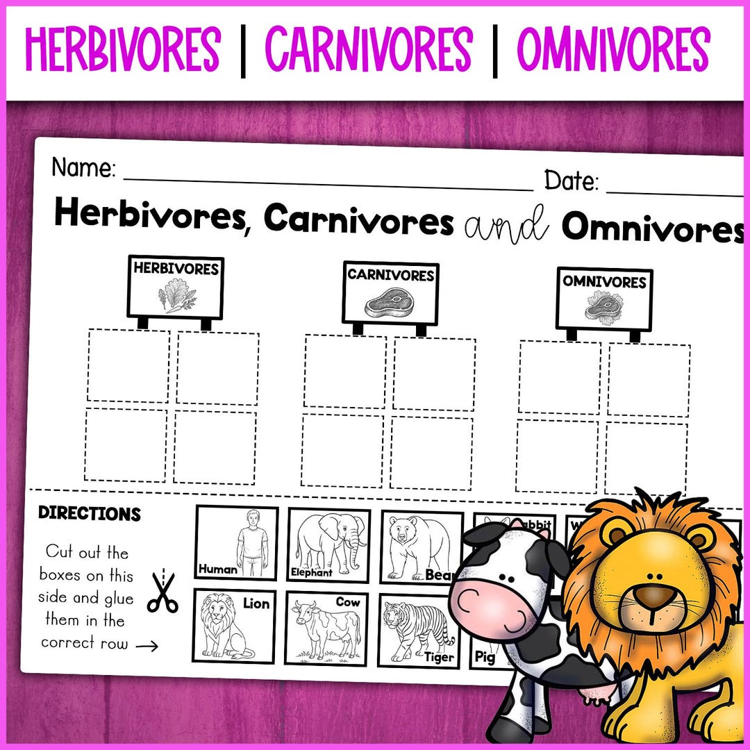 Animal Classification Worksheet | Herbivores Carnivores Omnivores ...