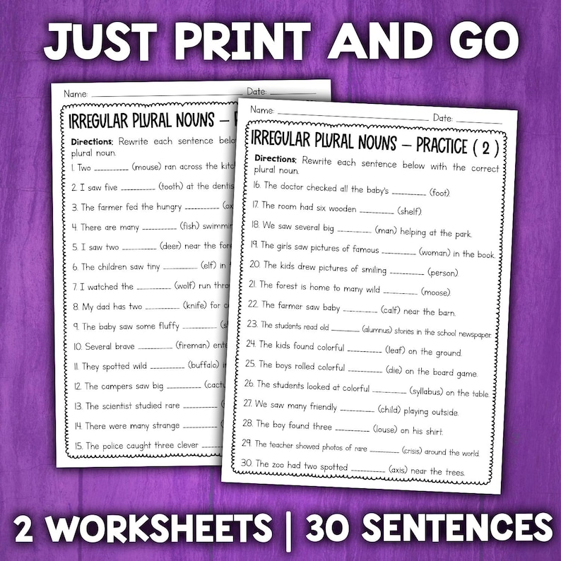 Irregular Plural Nouns Worksheet Activity | Irregular Plural Nouns ...
