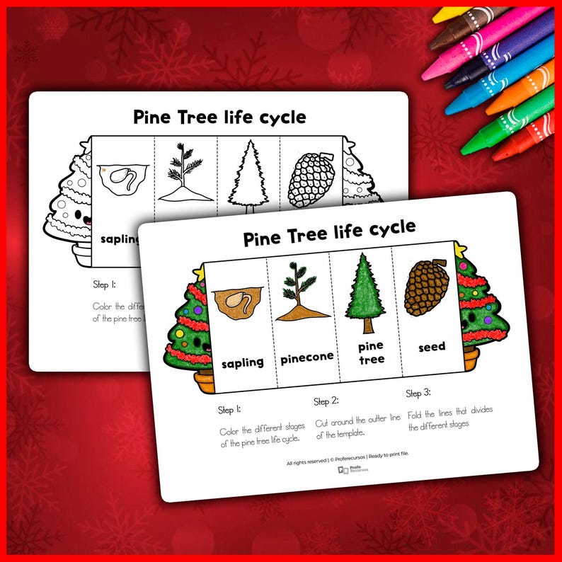 Christmas Tree Life Cycle Activity Christmas Craft Activity Cut & Paste ...