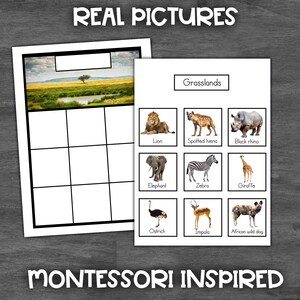 Animal Habitats Matching and Sorting Activity | Animals and Their ...