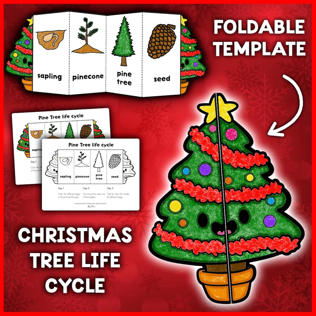 Christmas Tree Life Cycle Activity | Christmas Craft Activity | Cut ...
