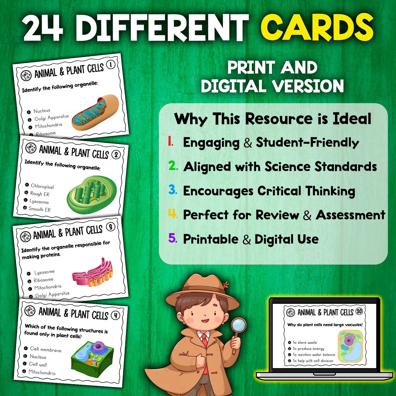 Plant and Animal Cell Activity | Organelles Structure and Cell ...