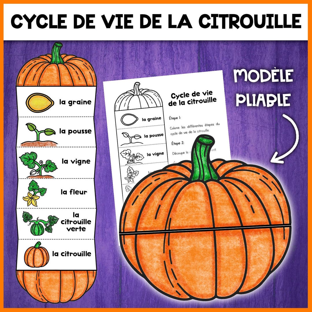 French Pumpkin Life Cycle Craft | Cycle De Vie De Citrouille Maternelle ...