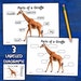 Giraffe Anatomy Parts of a Giraffe Diagram Giraffe Parts Labeled ...