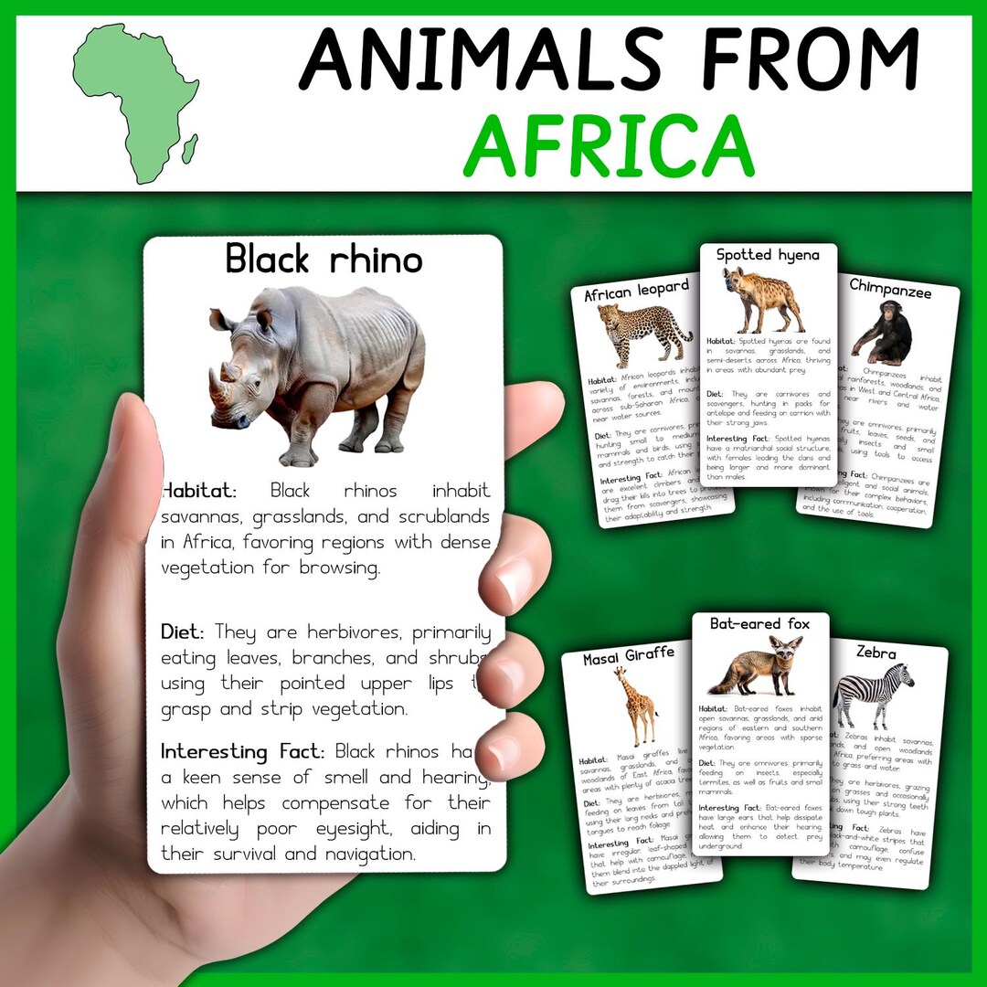 Animals From Africa | African Animals | Flashcards | Informational ...