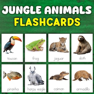 Jungle Animals Flashcards | Montessori 3-part Cards | Jungle Animals ...
