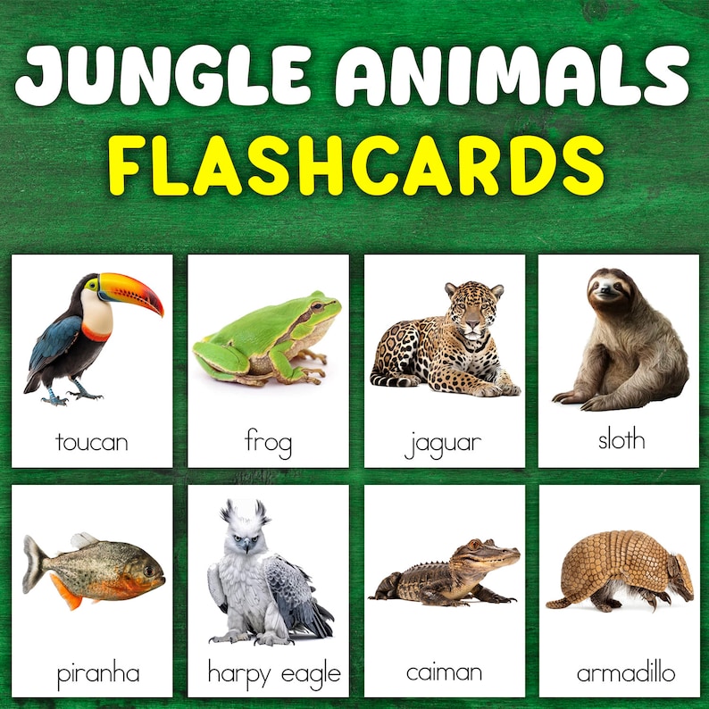 Jungle Animals Flashcards | Montessori 3-part Cards | Jungle Animals ...