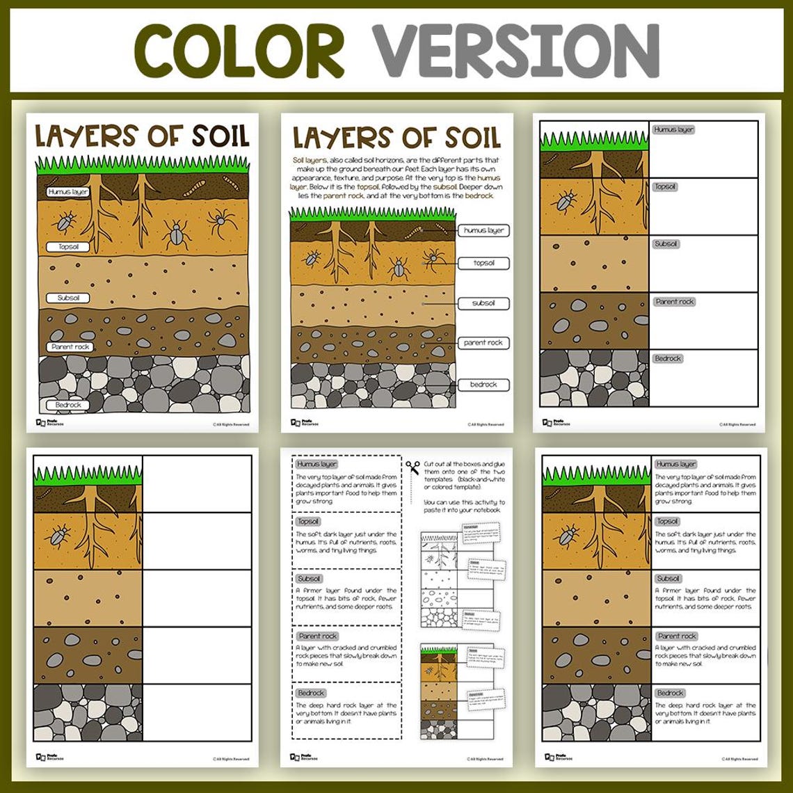 Soil Layers | Soil Horizons | Interactive Notebook Activities | Earth ...