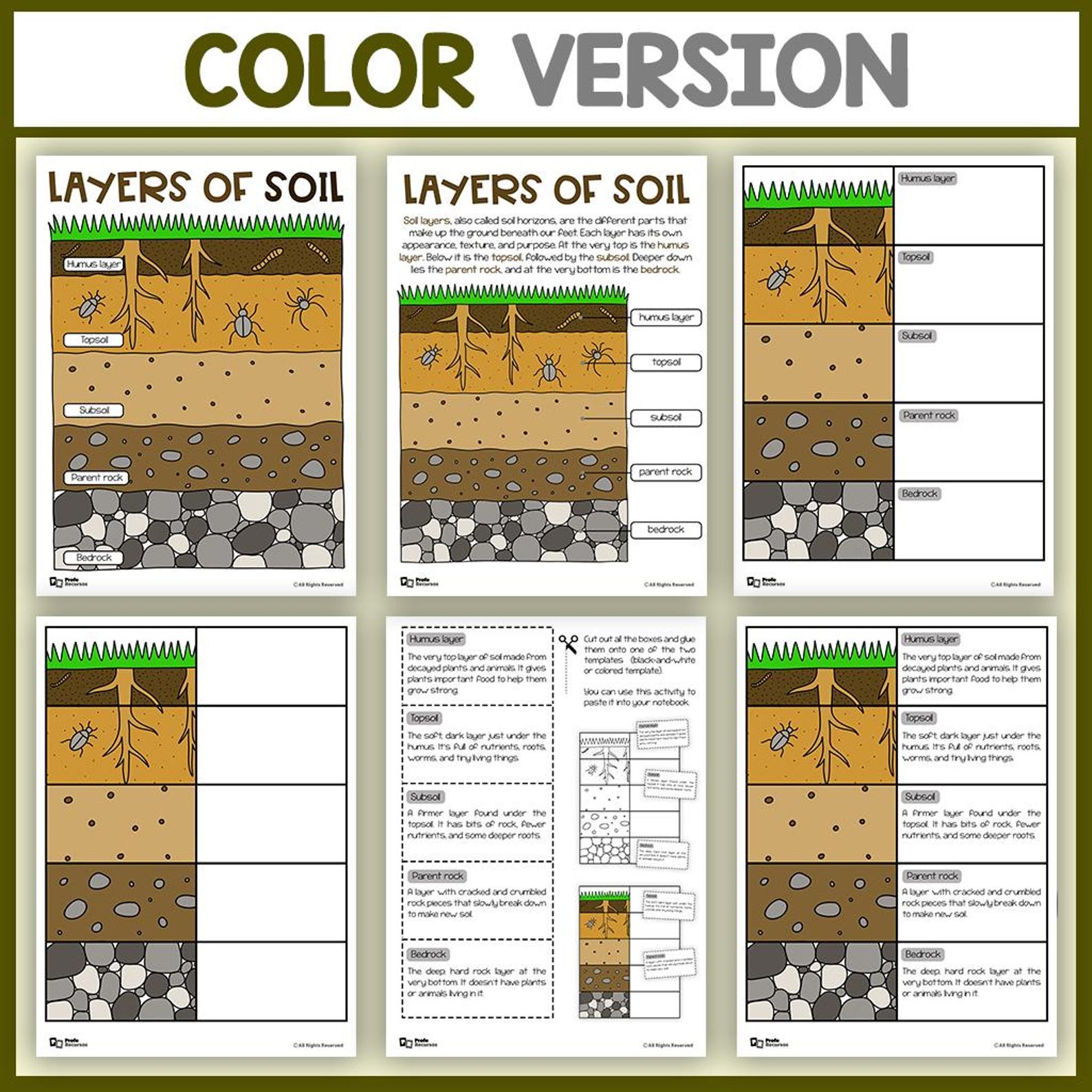Soil Layers | Soil Horizons | Interactive Notebook Activities | Earth ...