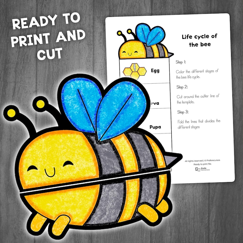 Bee Life Cycle Learning Activity for Kids | Foldable Craft Activity ...