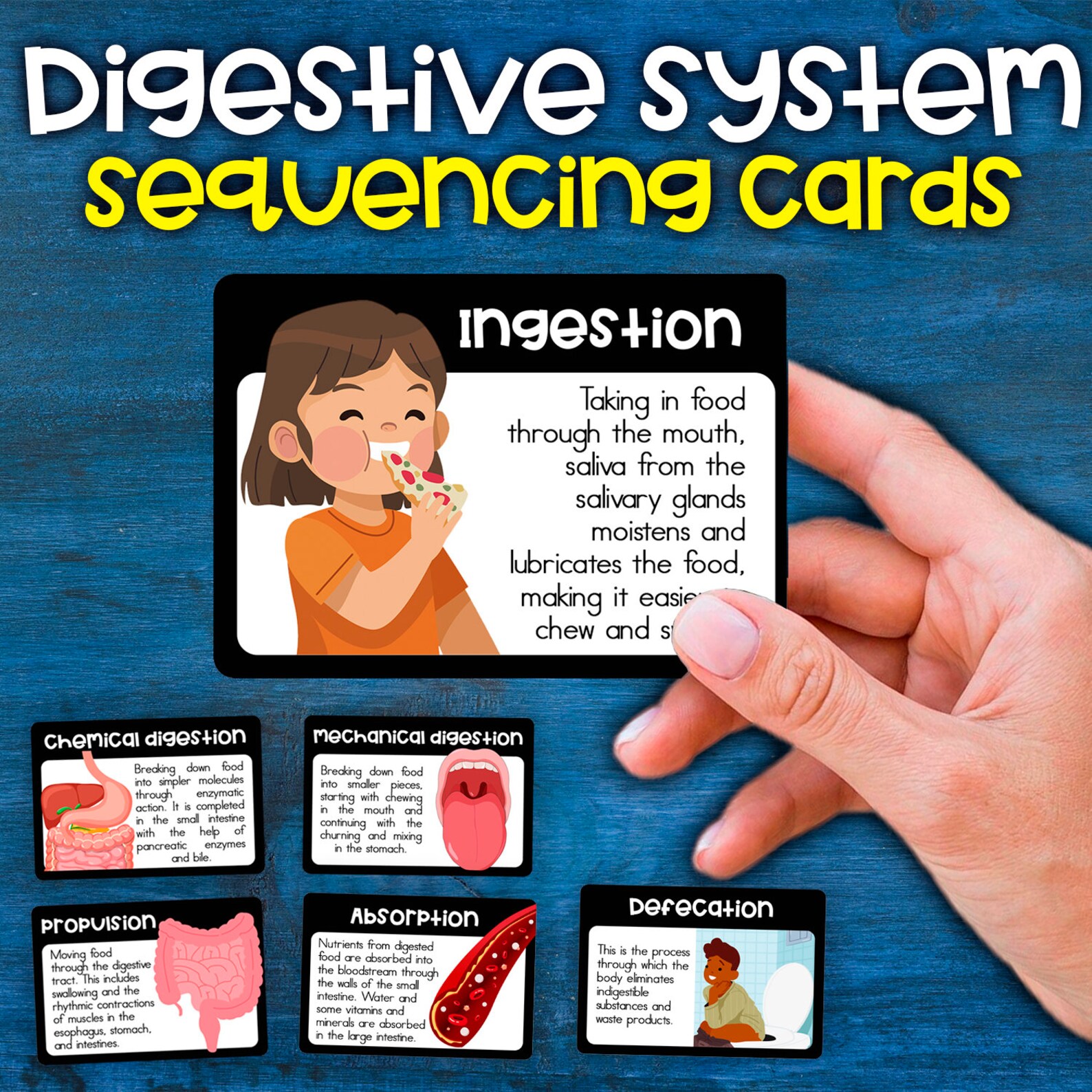 Digestive System Sequencing Cards How Digestive System Works Digestive ...