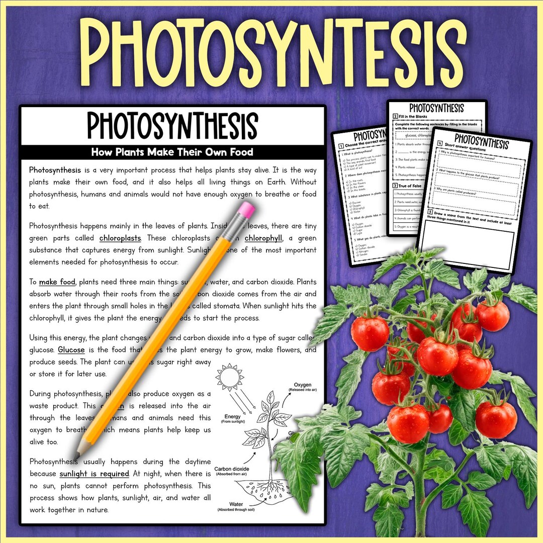 PHOTOSYNTHESIS Reading Comprehension + Worksheets | Cellular ...