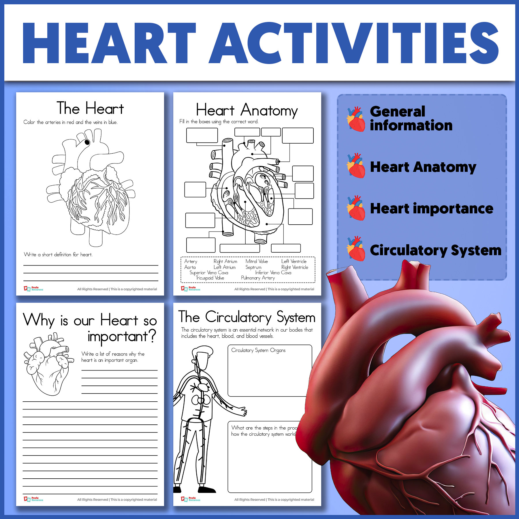 Human Heart Activity Bundle Heart Activities for Kids Human Heart ...