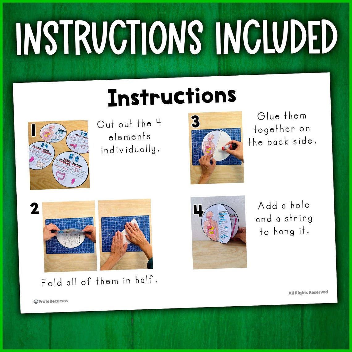 Digestive System 3D Craft Activity | Science Craft Activity | Human ...