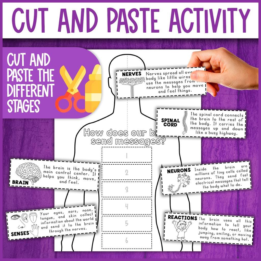Nervous System 3D Craft | Human Body Science Activity | Printable ...