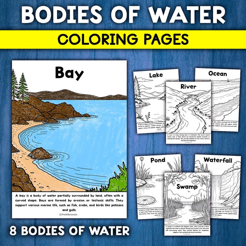 Landforms and Bodies of Water Activity Bundle | Types of Landforms - Etsy