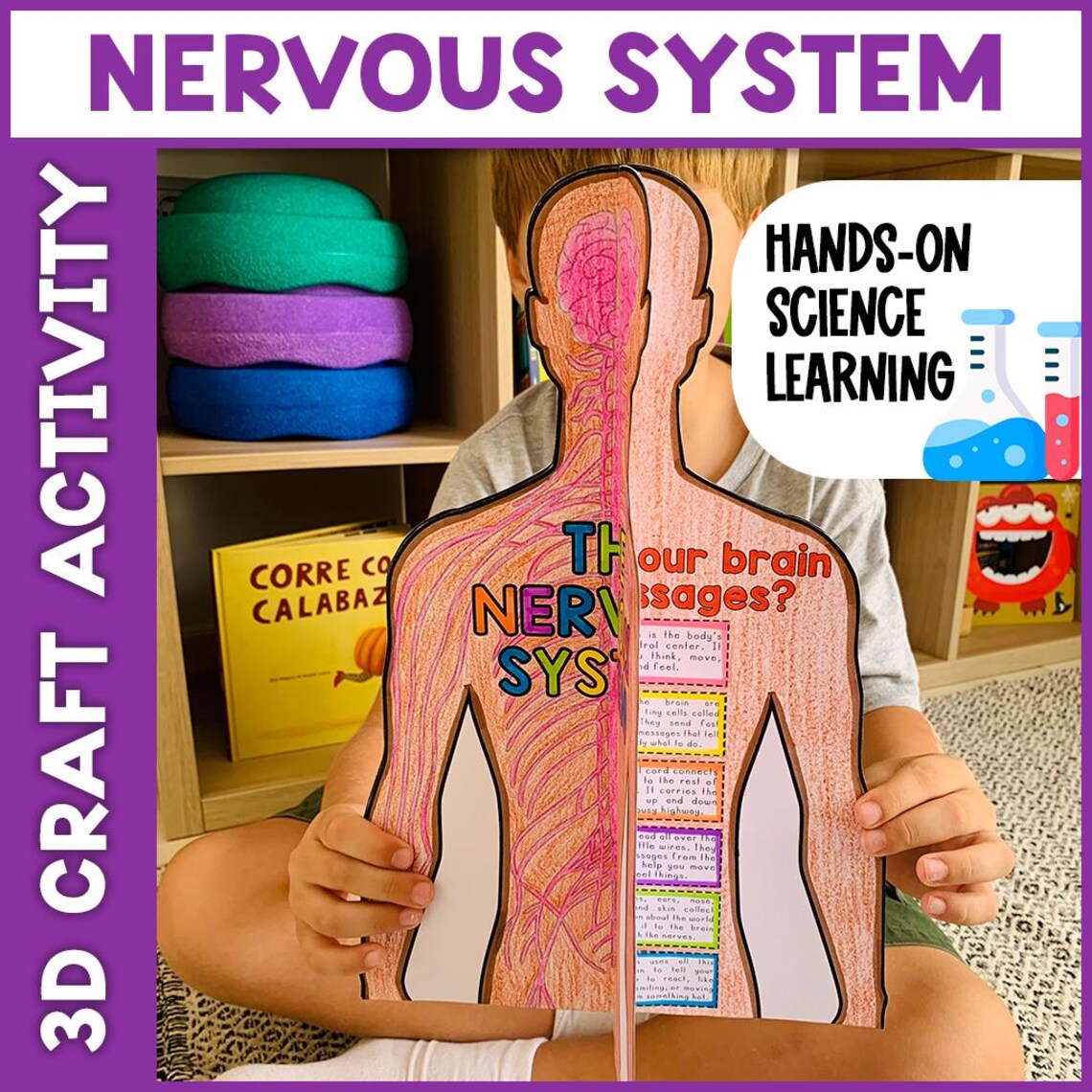 Nervous System 3D Craft | Human Body Science Activity | Printable ...
