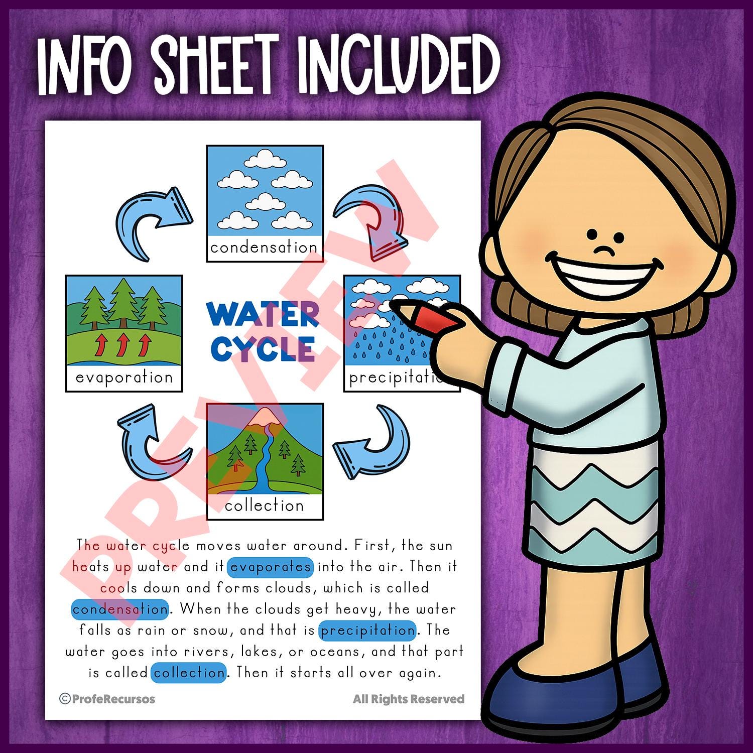Water Cycle Activity | Cut and Paste Activities | Sorting Activity ...