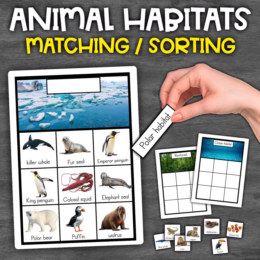 Animal Habitats Matching and Sorting Activity | Animals and Their ...