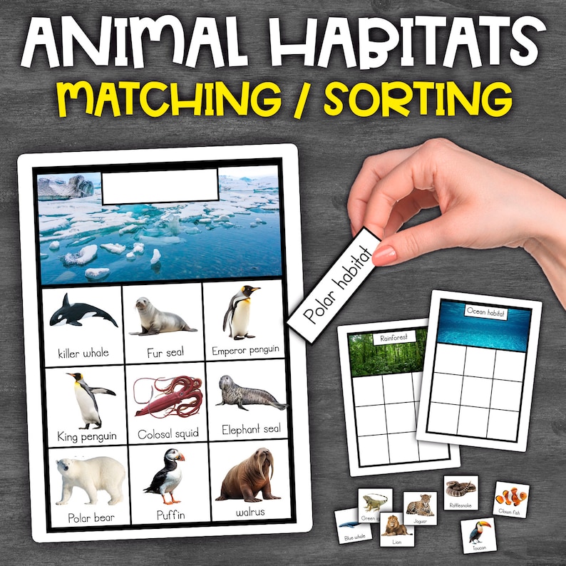 Animal Habitats Matching and Sorting Activity | Animals and Their ...
