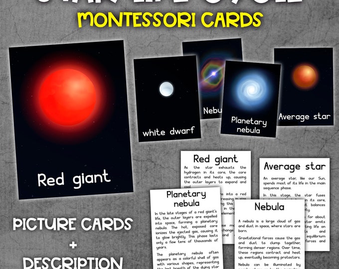 Life Cycle of an Average Star Story of Creation 3 and 4 Part Cards ...