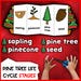 Christmas Tree Life Cycle Activity | Christmas Craft Activity | Cut ...