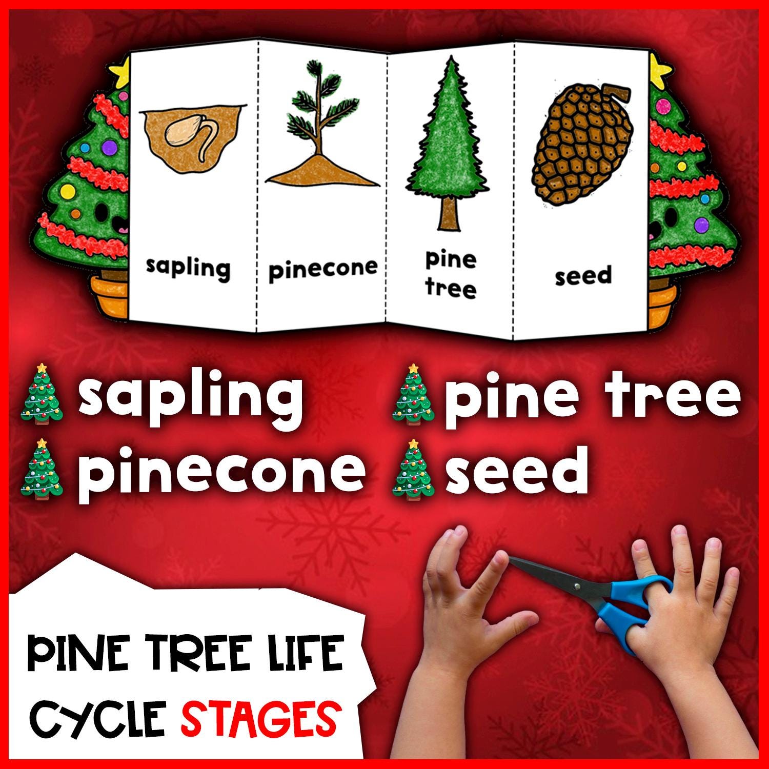 Christmas Tree Life Cycle Activity Christmas Craft Activity Cut & Paste ...