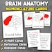 Brain Anatomy Parts Brain Anatomy Cards Brain Nomenclature Cards Brain ...