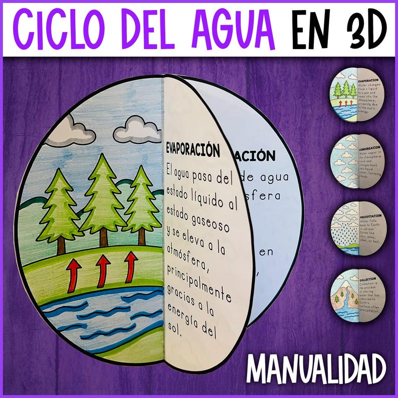 Spanish Water Life Cycle Craft | 3D Water Life Cycle Craft - Etsy