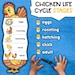 Chicken Life Cycle Activity | Chicken Craft Foldable Template | Life ...