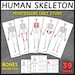 Human Skeleton Montessori Cards 3-part Cards Nomenclature Cards ...