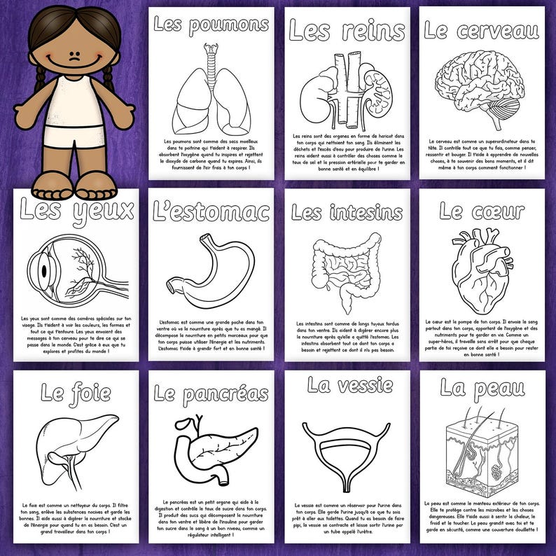 French Body Parts Coloring Pages | Coloriage Organs Et Parties Du Corps ...