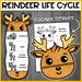Reindeer Life Cycle Activity | Reindeer Craft | Christmas Craft ...
